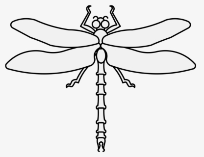Free Dragonfly Clip Art with No Background - ClipartKey