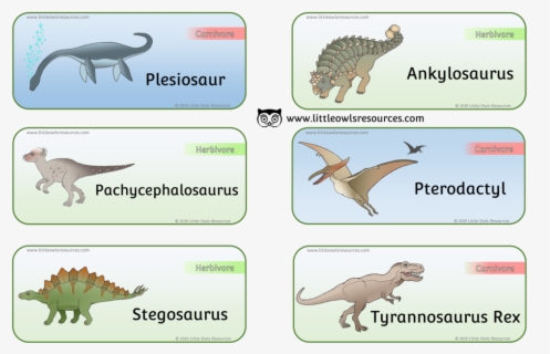 Dinosaur Word Cards - Dinosaur Sorting Herbivores And Carnivores , Free ...