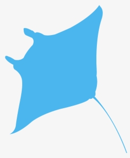 Manta-ray - Transparent Manta Ray Vector , Free Transparent Clipart ...