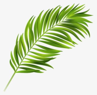Green Leaf Png Clipart - Tropical Leaves Png Transparent , Free ...