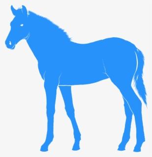 Free Race Horse Clip Art with No Background - ClipartKey