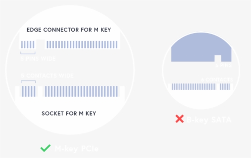 Cpwp-m Logo - Circle , Free Transparent Clipart - ClipartKey
