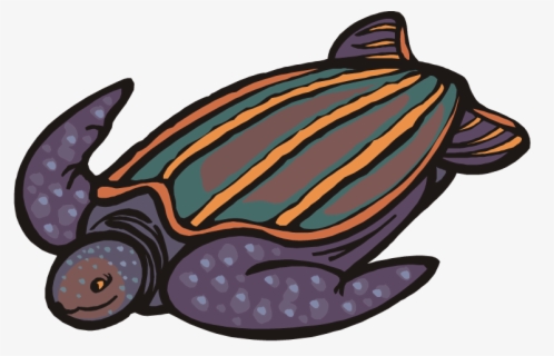 Draw Leatherback Sea Turtle Cartoon , Free Transparent Clipart - ClipartKey