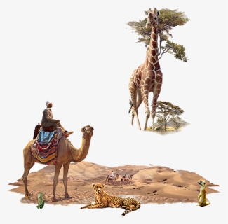 Desert Animal Png , Free Transparent Clipart - ClipartKey