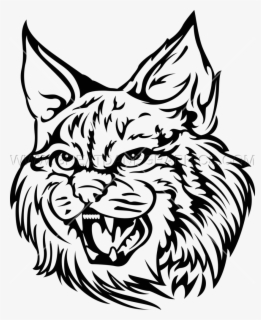 Wildcat Png Page - Wild Cat Transparent Background , Free Transparent ...