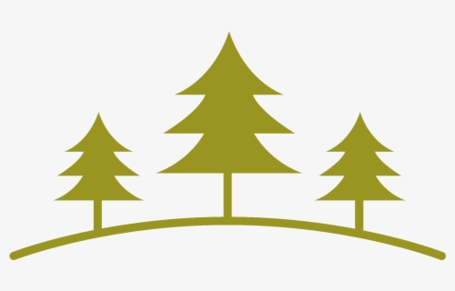 Free Evergreen Tree Clip Art with No Background - ClipartKey