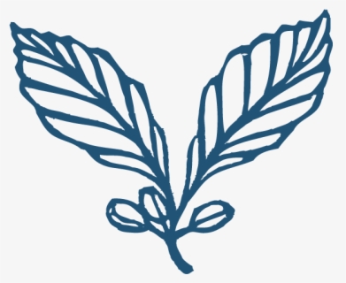 Kickapoo Coffee Home - Kickapoo Coffee Logo , Free Transparent Clipart ...