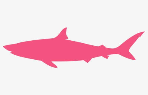 Transparent Shark Tail Clipart - Tiger Shark , Free Transparent Clipart ...