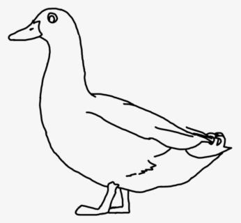 Download Duck Png Duck Line Drawing Clip Art Library - Duck Bird ...