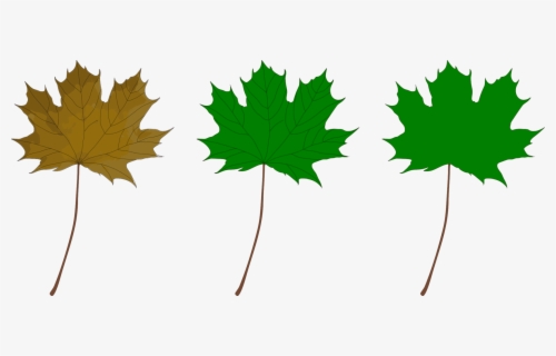 Green Leaf Clipart Green Maple Leaves Clipart Clip - Clip Art Green ...
