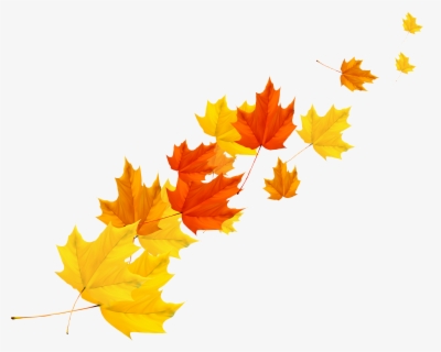 Autumn Maple Leaf Png Clip Art , Free Transparent Clipart - ClipartKey