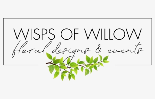 Wisps Of Willow - Calligraphy , Free Transparent Clipart - ClipartKey