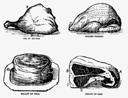 Lamb, Mutton, Leg, Meat - Draw A Lamb Leg , Free Transparent Clipart ...