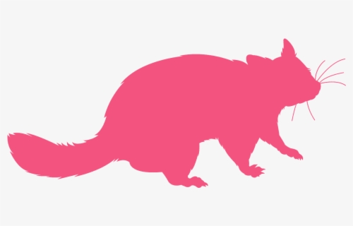 Possum Silhouette Png , Free Transparent Clipart - ClipartKey